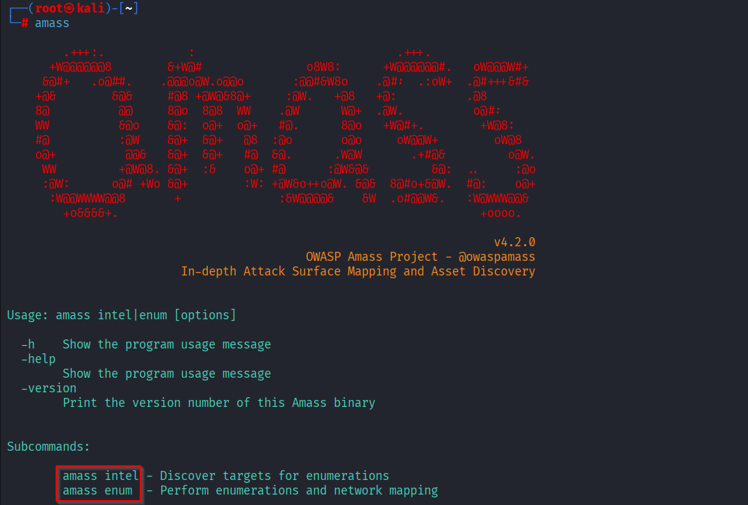 Automate Subdomain Discovery with Amass | by Mayank Kumar Prajapati | Medium