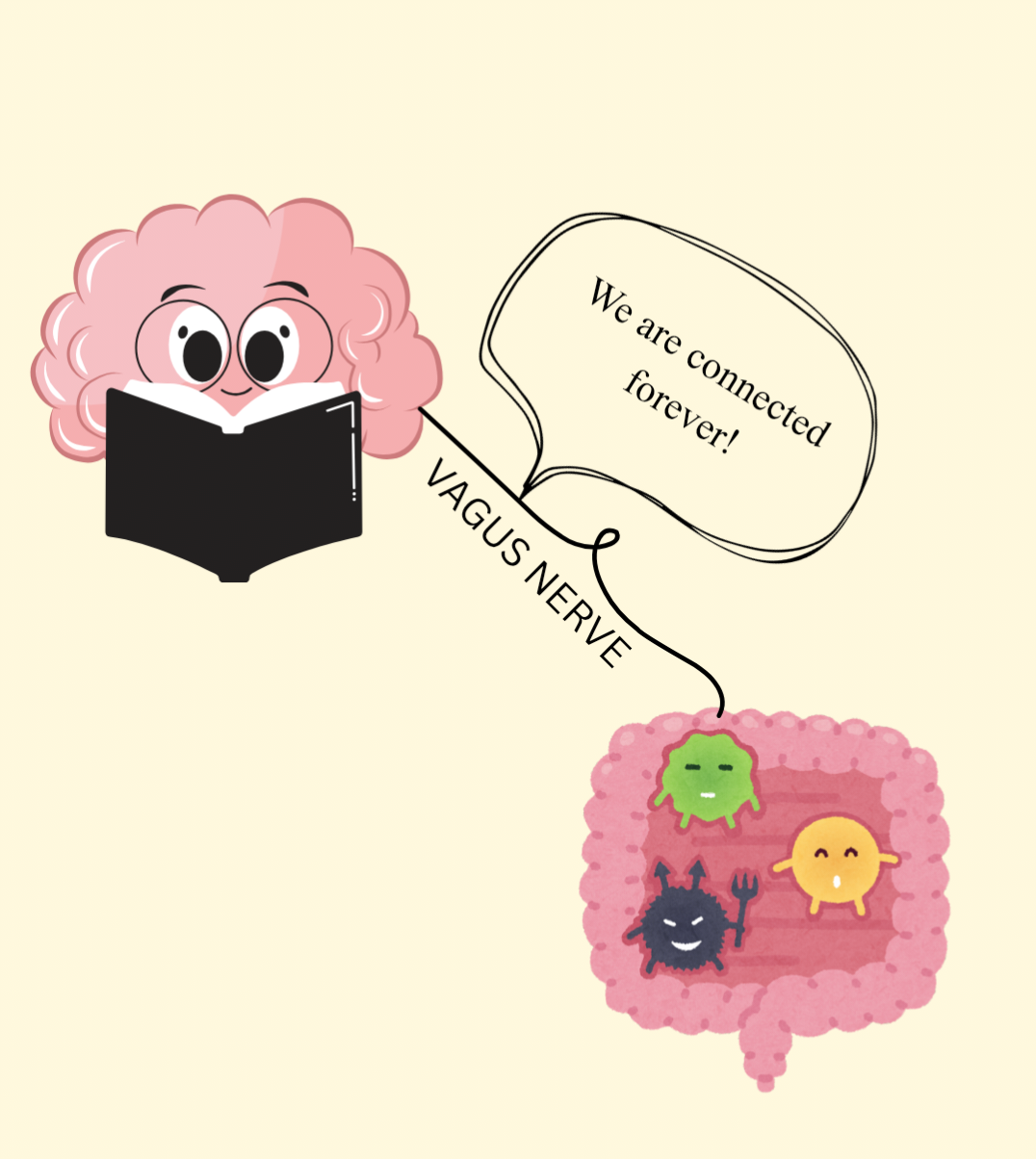 The Gut-Brain Axis: Decoding the ‘Second Brain’ and the Vagus Nerve ...