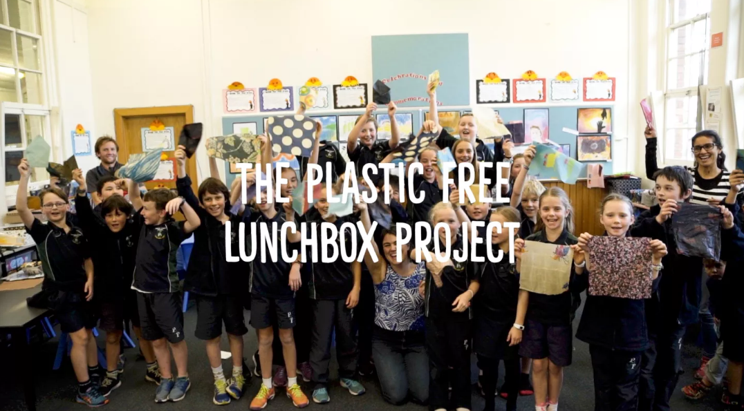 Interview Spotlight: The Plastic Free Lunchbox Project | by ...