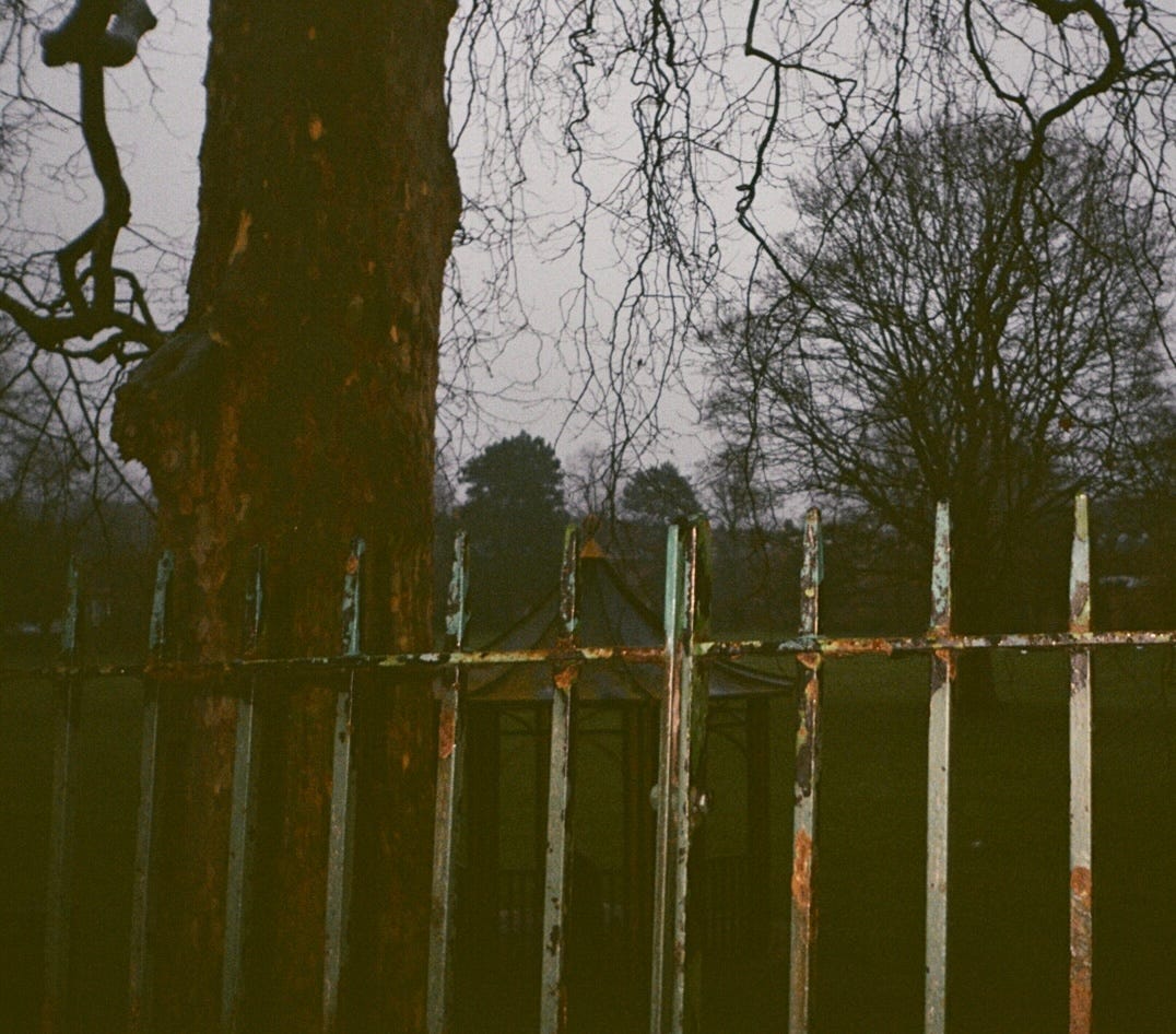 Chalk and Dew. It’s like how idle lips forget a… | by Viola ...