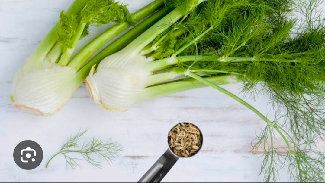 Chewing Fennel Seeds After Meals: | by Uzair Kamboh | Oct, 2024 | Medium