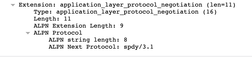 ALPN — Application Layer Protocol Layer - Chen Li-Chi (陳立其) - Medium