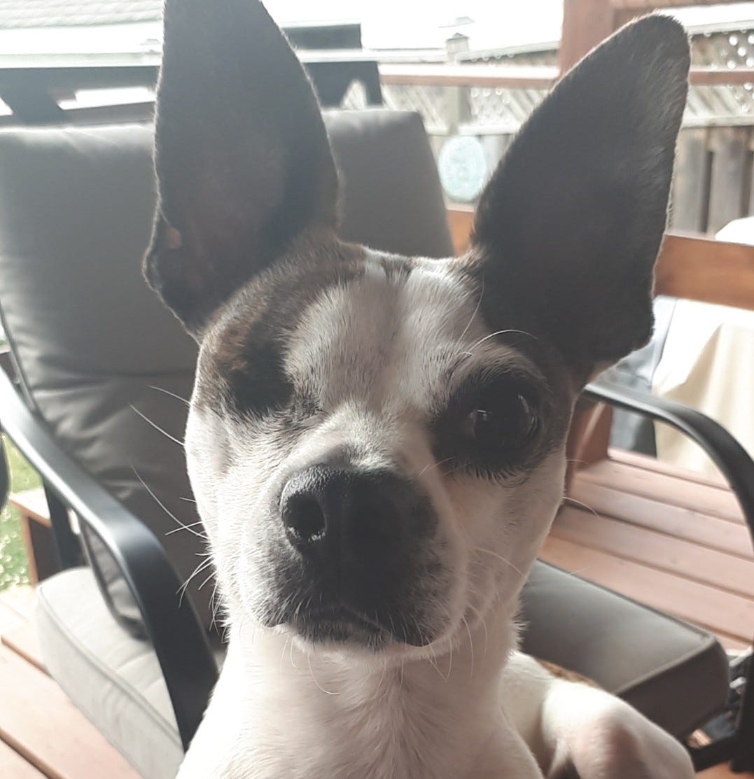 T4C Series: What organization matters to you? | by Textbooks for Change ...