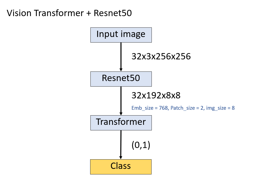 สร้างโมเดล Vision Transformer + Resnet50 in PyTorch [past 3/3] : Vision Transformer + Resnet50 ...