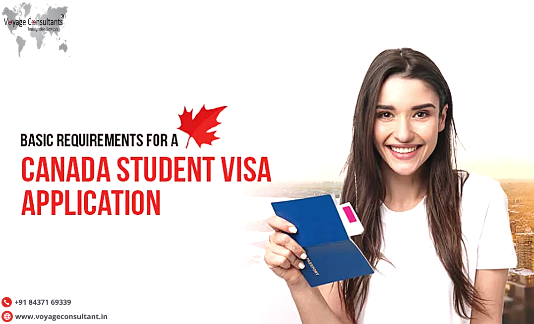 Do You Need Advice for VISA Selection? - Voyage Immigration Consultant - Medium