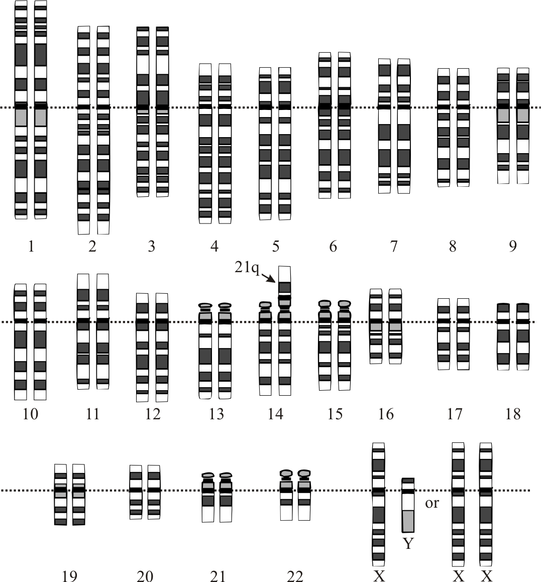Common Pro-Life Arguments, And Their Science-Backed Rebuttals | by ...