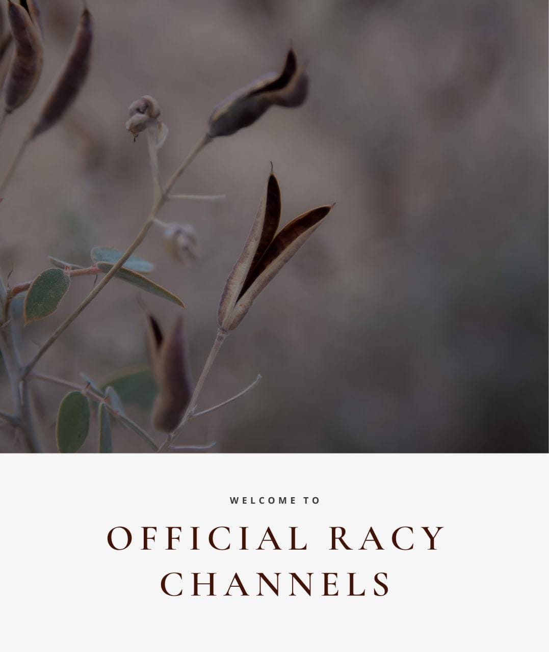 💋 Welcome to RACY official channels! - RACY Official - Medium