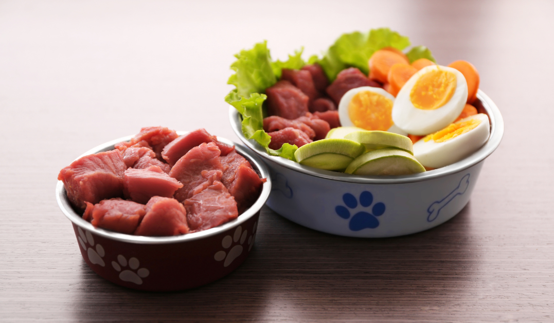 A practical guide to feeding your dog(s) with ‘real food’. | by ...