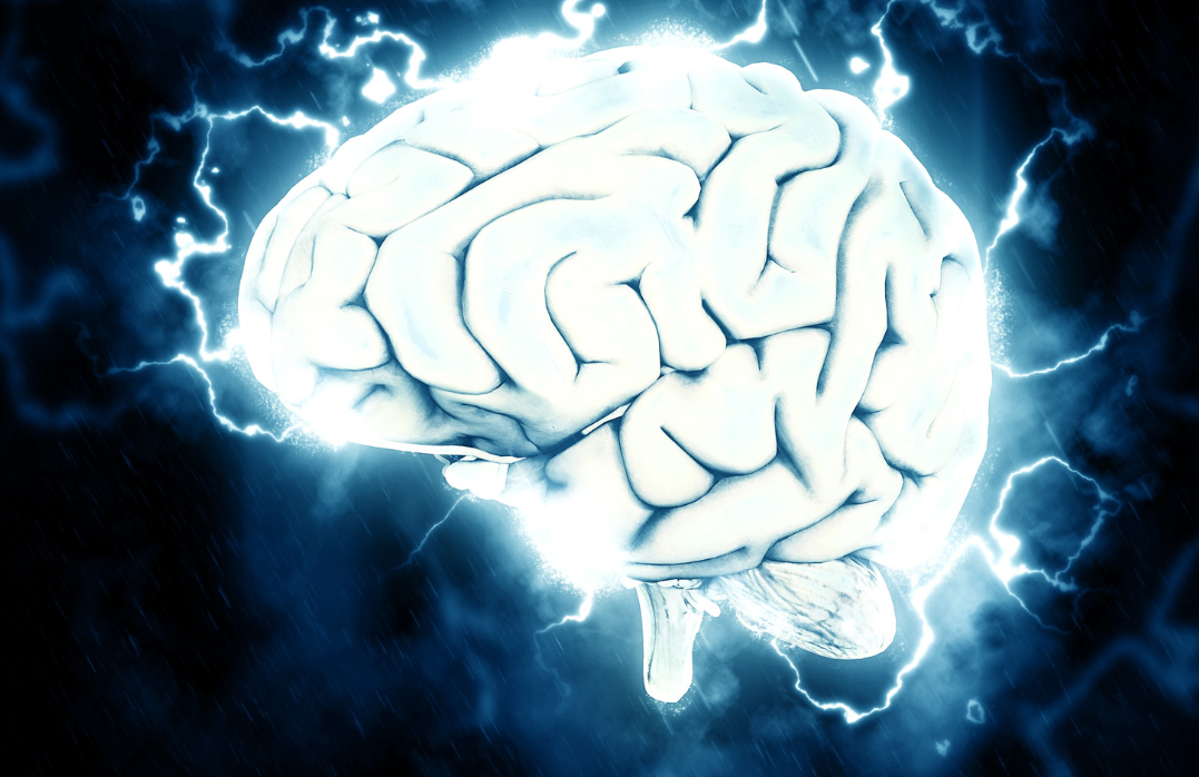 What is the Human Brain and Why Do We Need to Study It? | by Parham ...