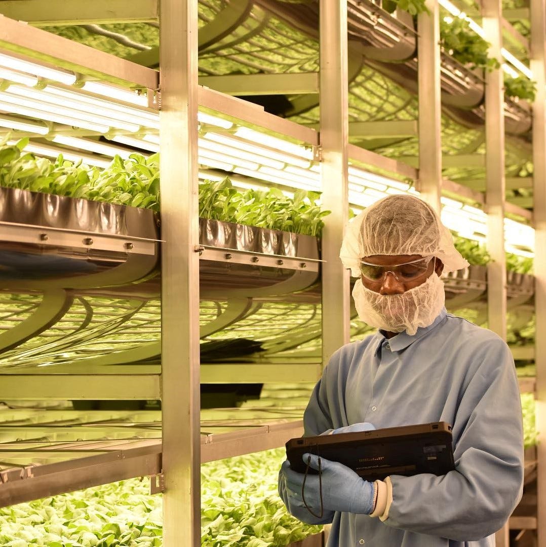 A Message of Commitment and Gratitude from AeroFarms CEO: Safety and ...