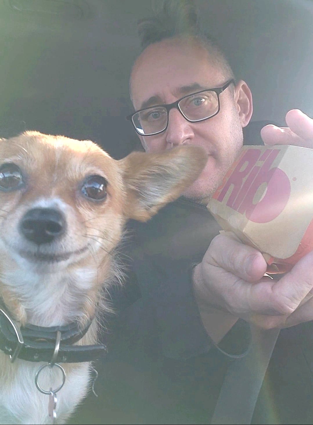 A Day In the Life of a Beloved Family Dog. From MY perspective. | by ...