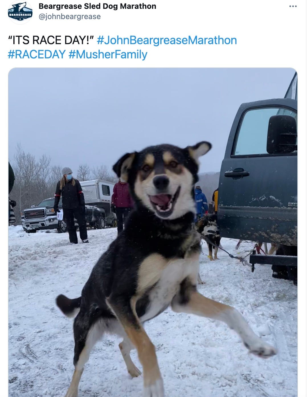 John Beargrease Marathon. Race Day Tweets for the Target Audience | by Krysta Mielke | Medium