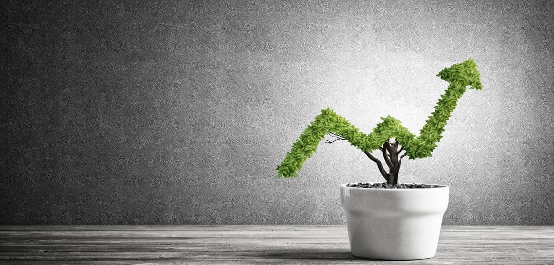 Growth: A Messy Business. “So, this is what it feels and/or looks… | by ...
