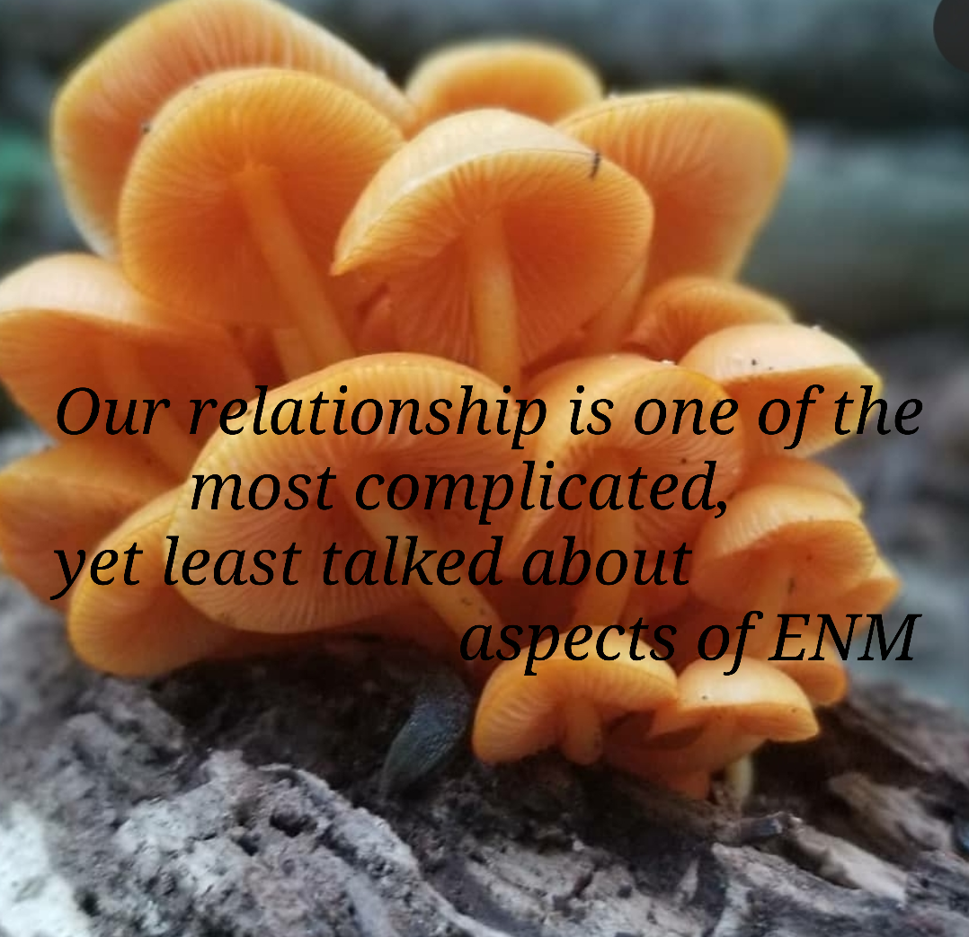 A Letter To My Meta. To my metamour (past, present, and… | by Taryn ...