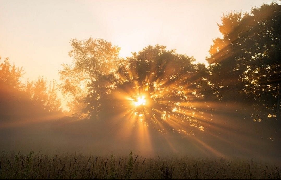even the sun sets to rise again. The sun sets, but it always rises ...