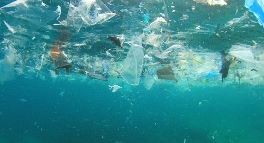 Ocean Garbage Patches. The ocean contains systems of currents… | by ...