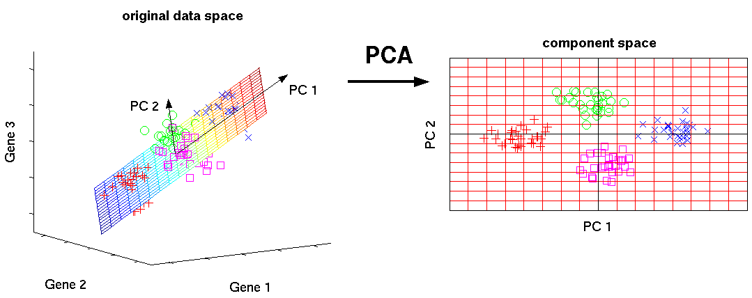 Principal Components Analysis. Principal Component Analysis (PCA) is a… | by Rishabh Mall | Medium
