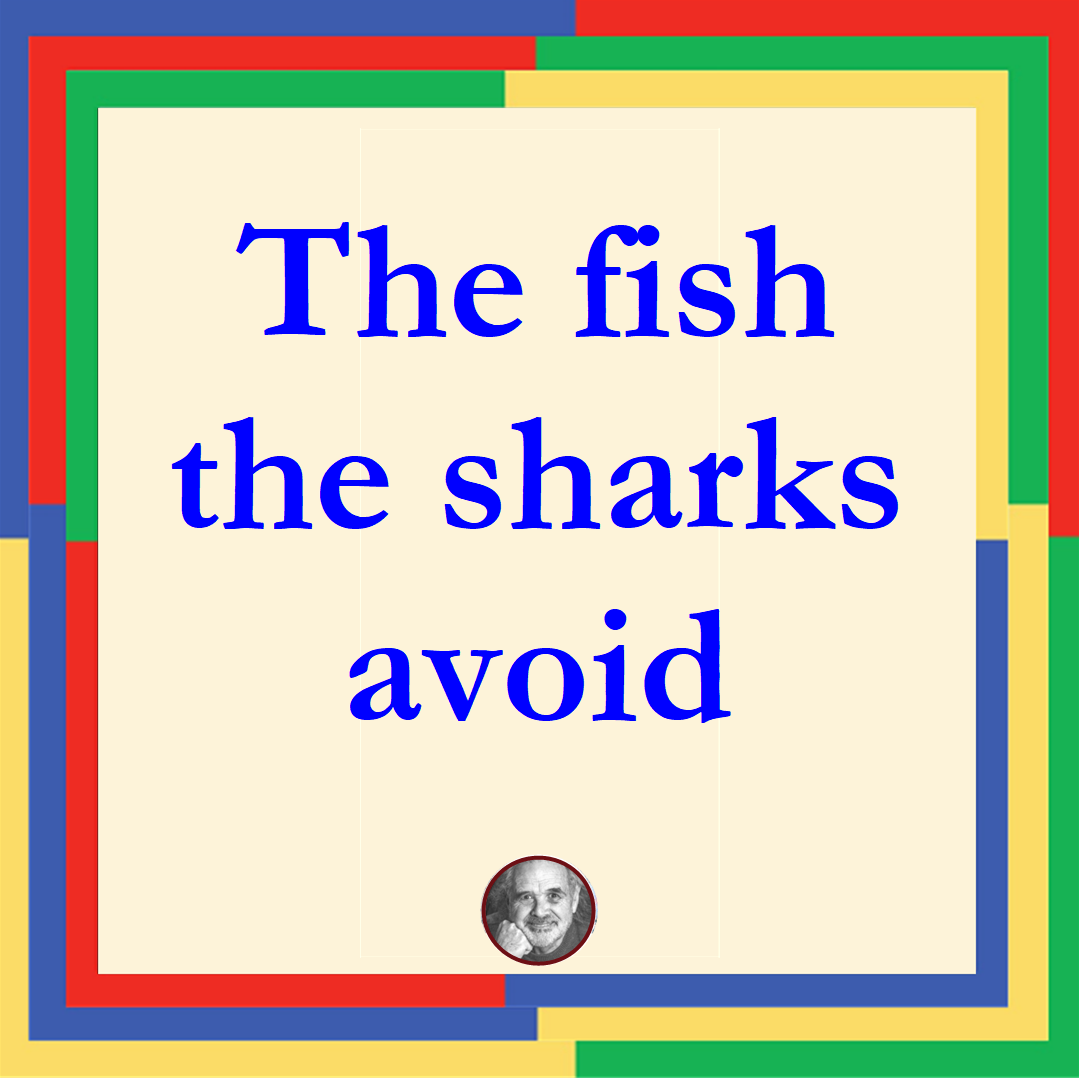 The fish the sharks avoid - Fresh Perspective - Medium