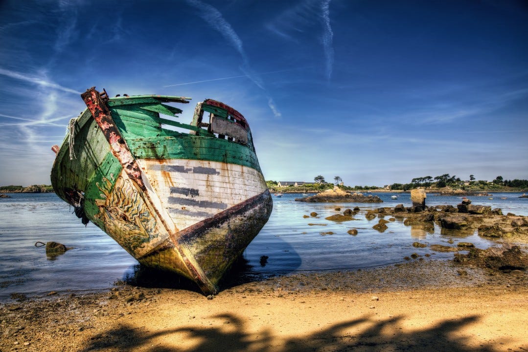 Shipwrecked or Cruisified?. Cruises are dead! Long live cruises! | by ...