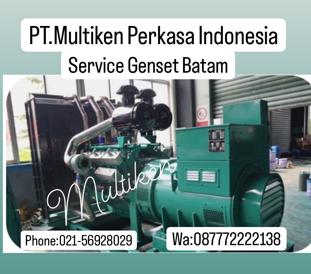 Service Genset Batam| Apakah butuh Repair dinamo,Running inspection ...