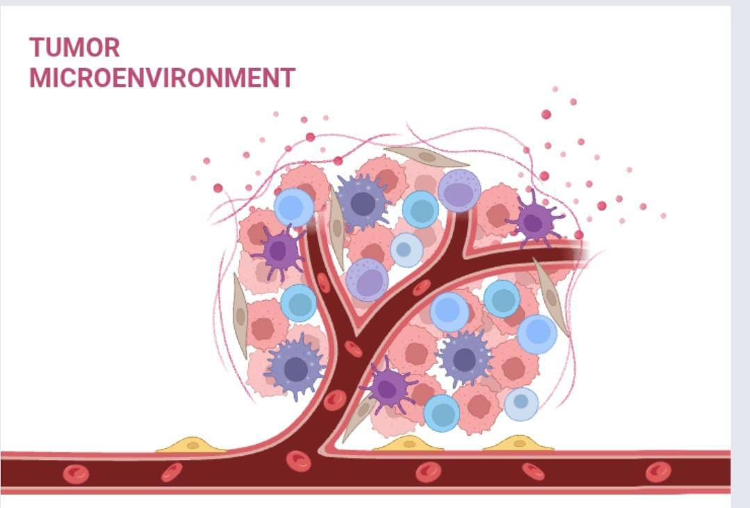 Tumor Microenvironment (TME): An Overview The tumor microenvironment ...