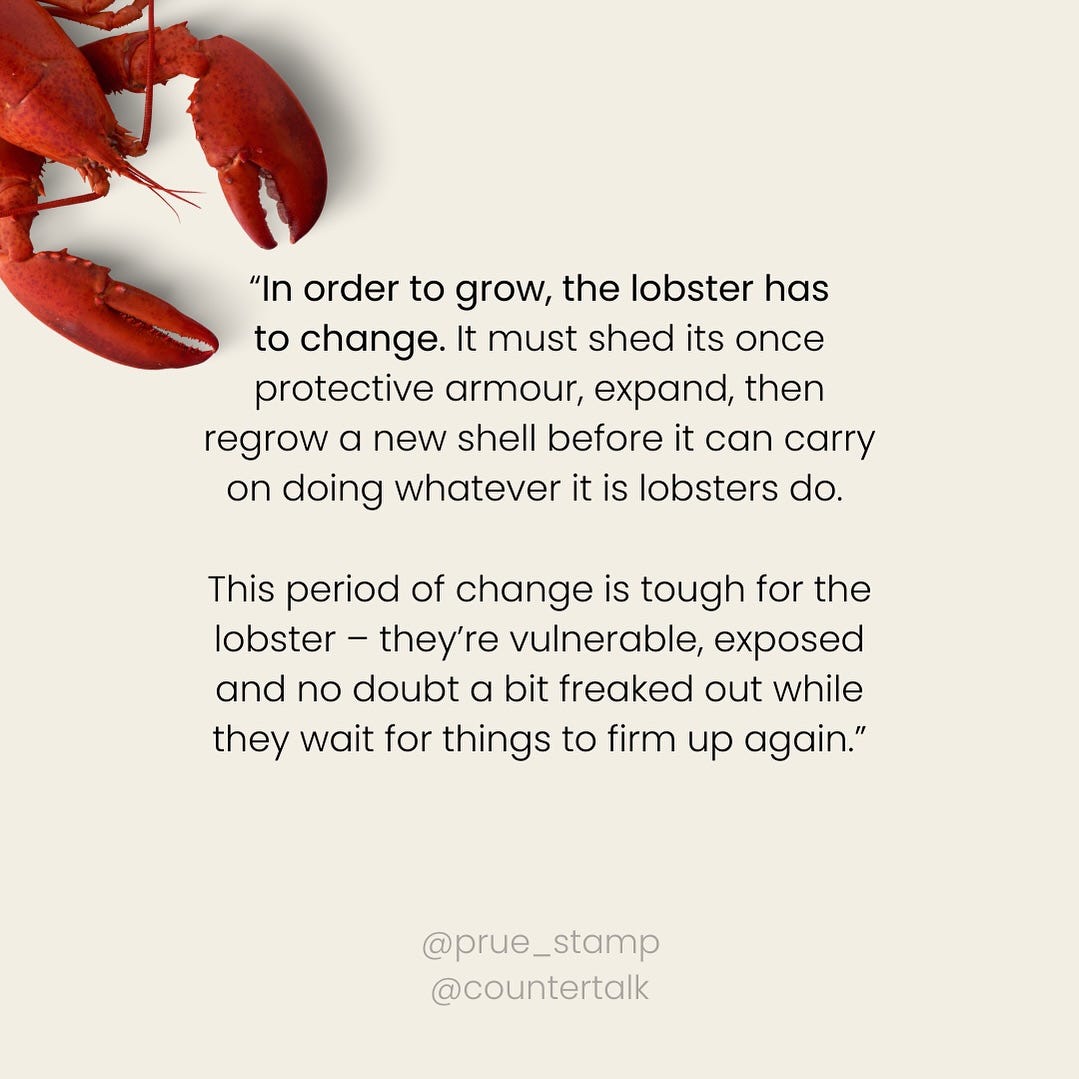 Embracing Change: Lessons from Lobsters and Hospitality | by ...