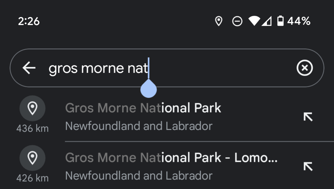 Flutter: Google Maps Autocomplete SearchBar | Level Up Coding