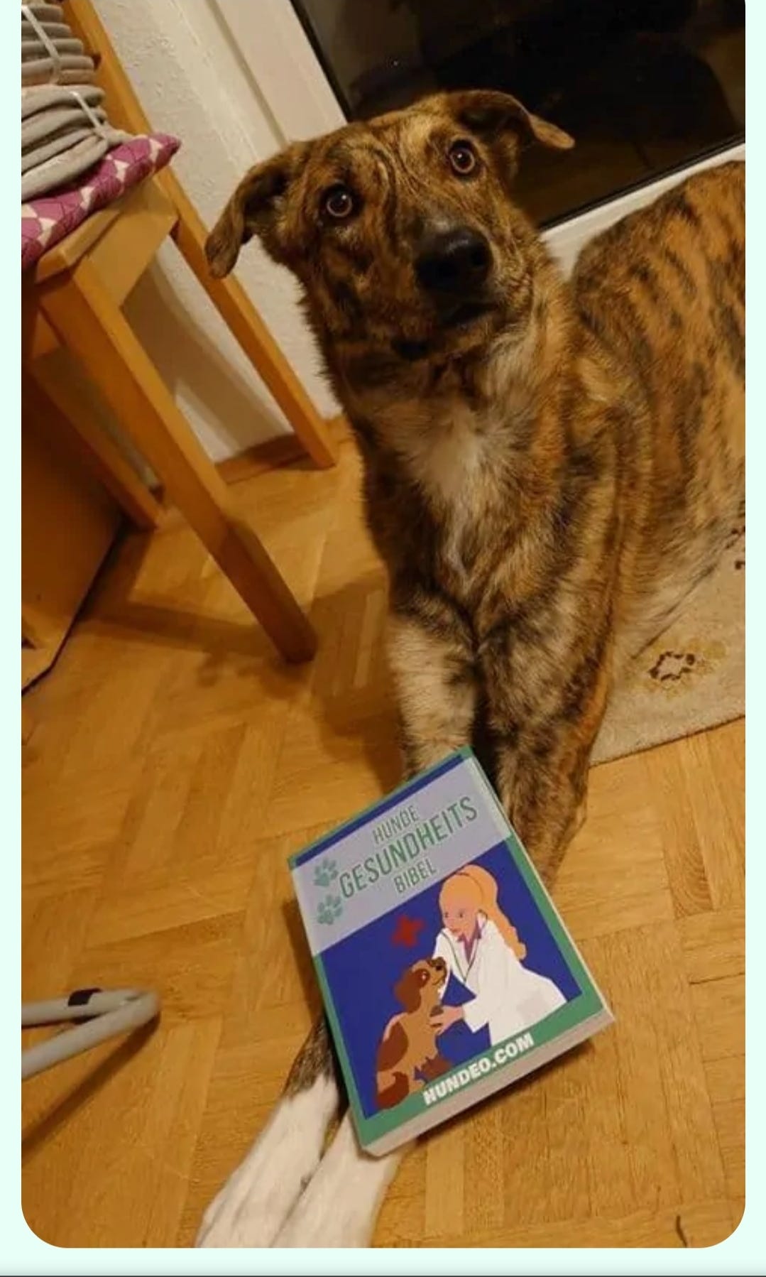 Darum lohnt sich unser Partnerprogramm Diese Bücher kannst du empfehlen Barf Bibel Das Buch zu ...