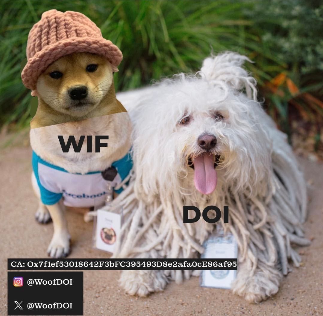 $DOI DAO for Dog Lovers and Owners: A Community of Empowerment ...