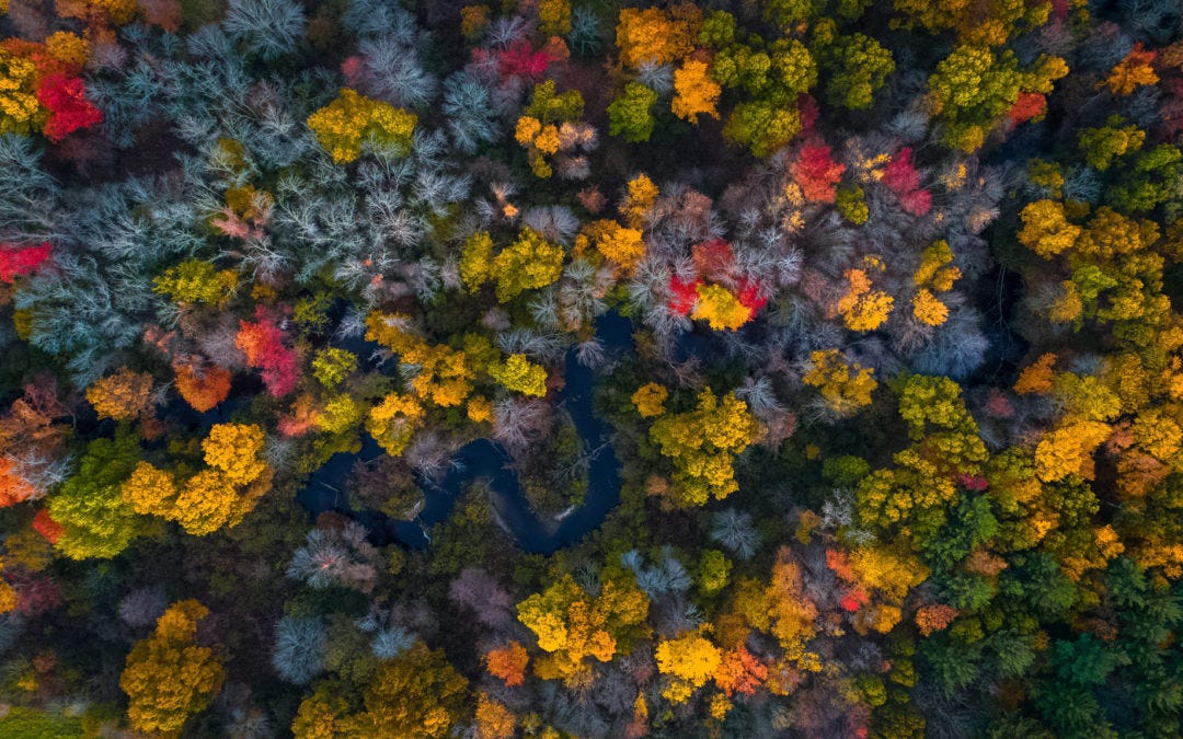 The Overview Effect and Inspiring Ideas from AskNature.org | by ...