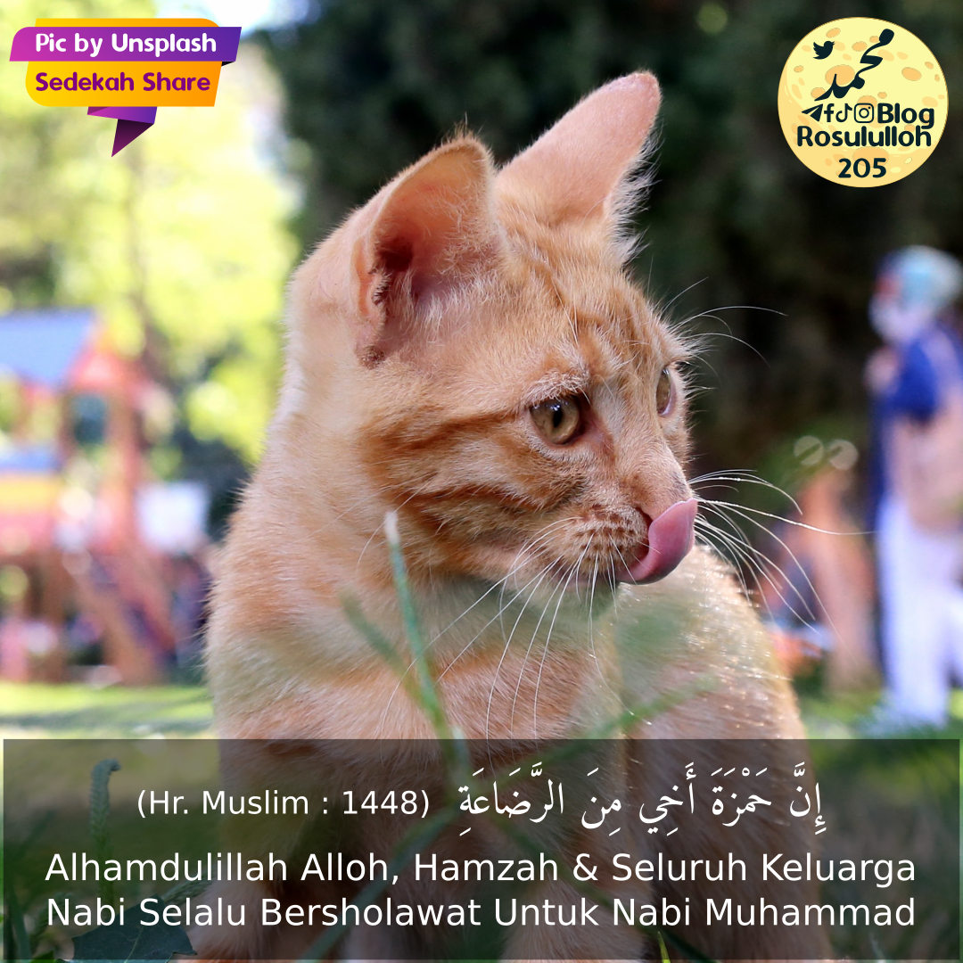 205 Alhamdulillah Alloh, Hamzah & Seluruh Keluarga Nabi Selalu Bersholawat Untuk Nabi Muhammad # ...