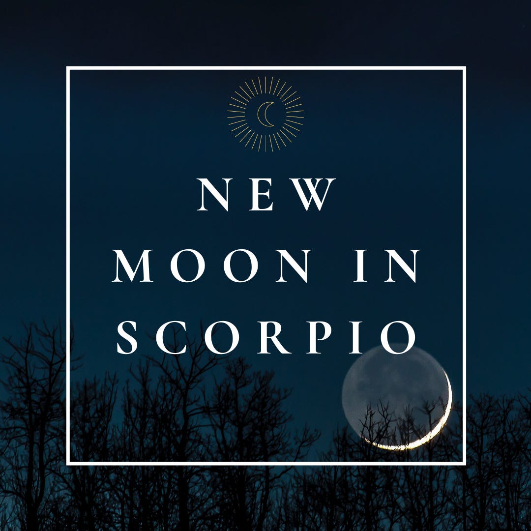 Dive Deep. Navigating the Transformative New Moon… | by Marcas P. O'Dea ...