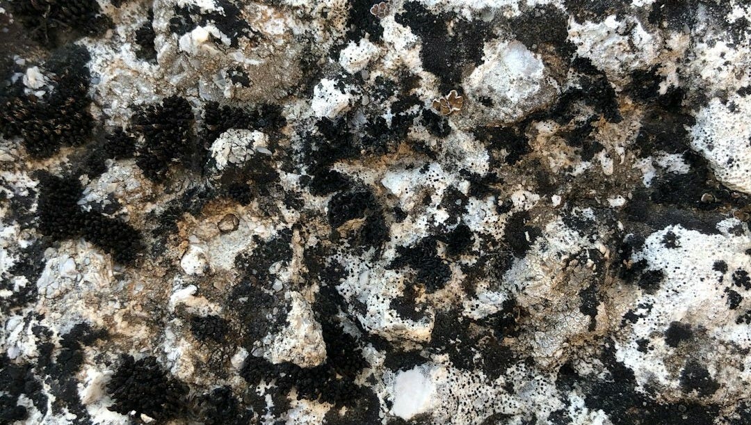 A Perfectionist’s Path to Creativity | by Josh Coronel | Unfinished ...