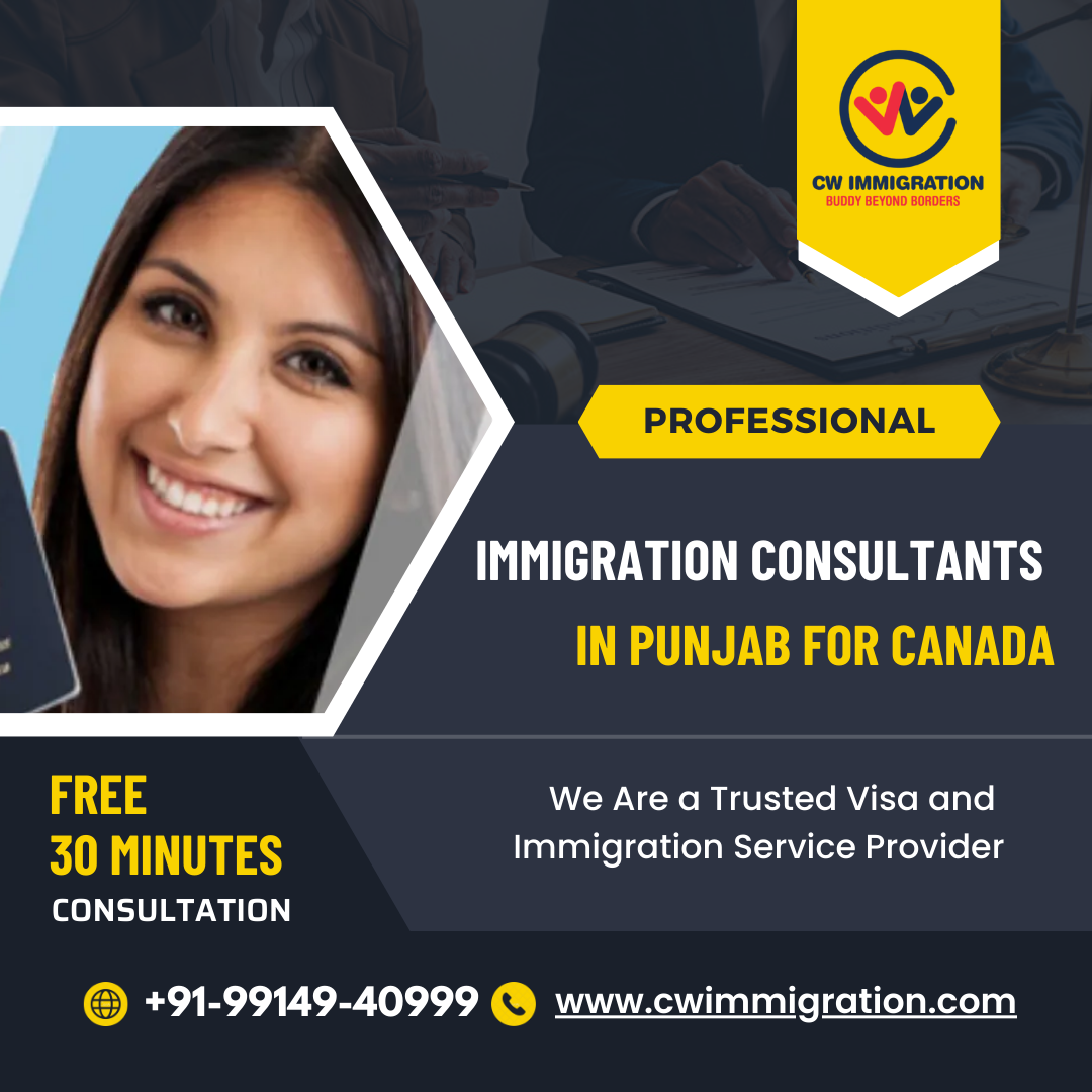 Discover the Best Immigration Services in Mohali: Top Immigration ...