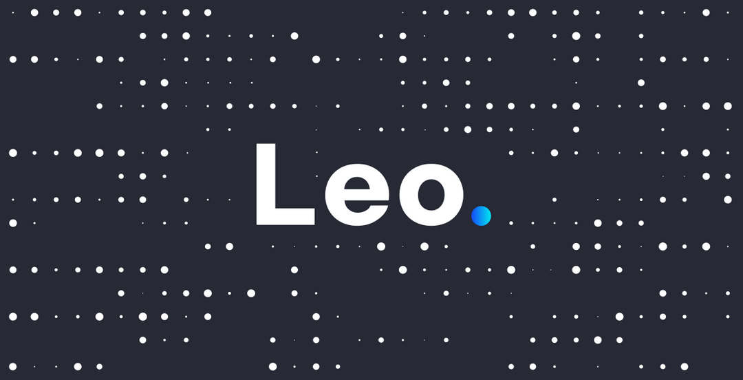 Introduction to the Leo programming language. | by Maripolonskaia | Medium