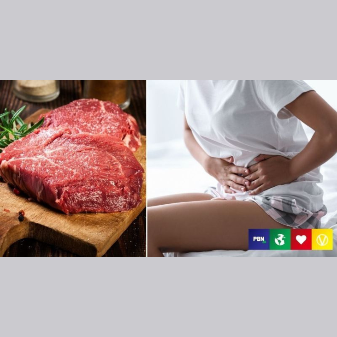 Red Meat Increases Risk Of Endometriosis | by Tarlan Isaev | Medium