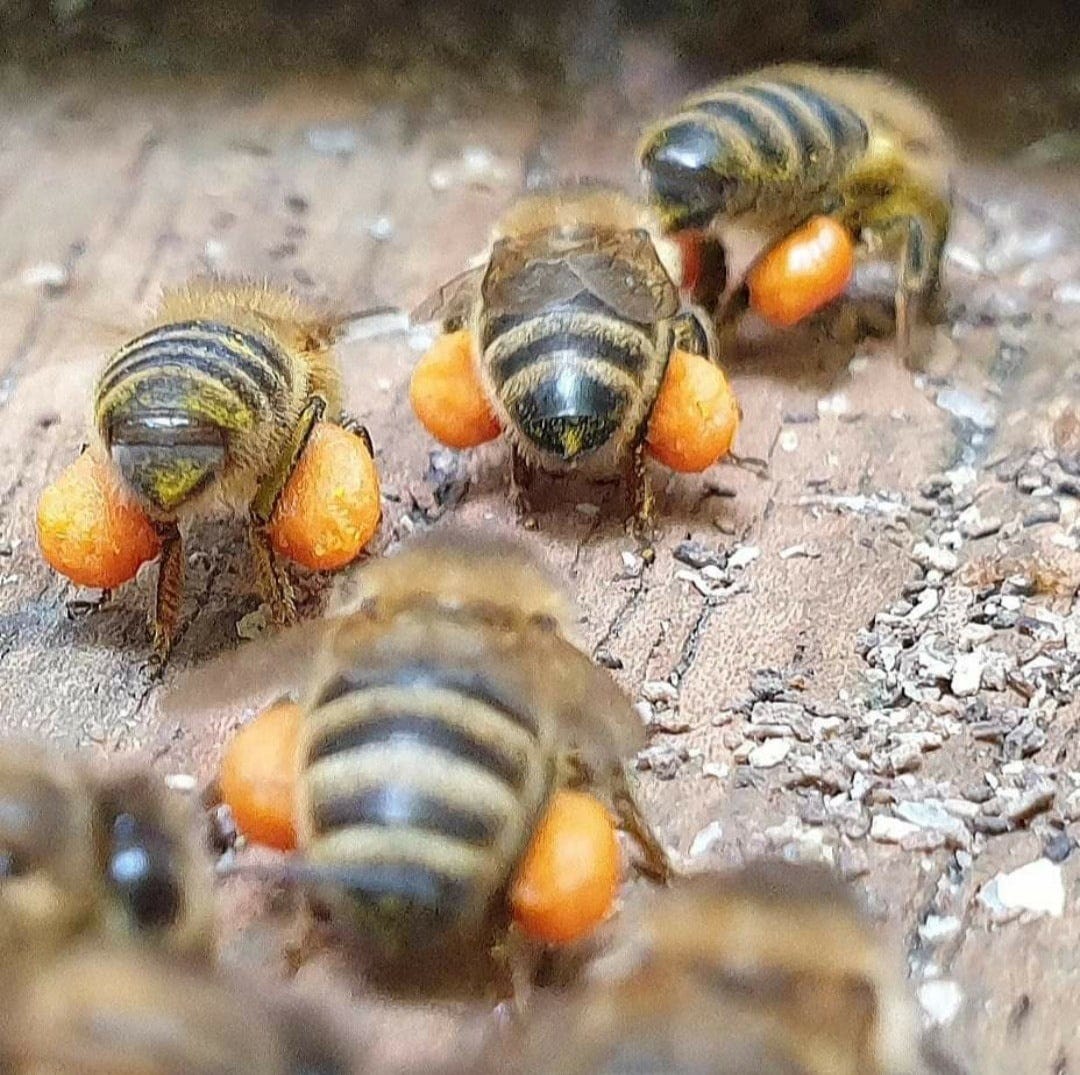 What a delightful sight! - Dailyviewpress - Medium