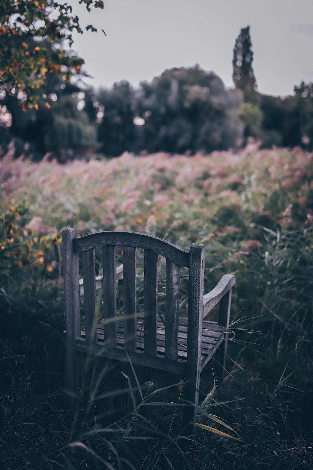 Judgement. “I would prefer not to.”-Bartleby | by The Transcendentalist | Medium