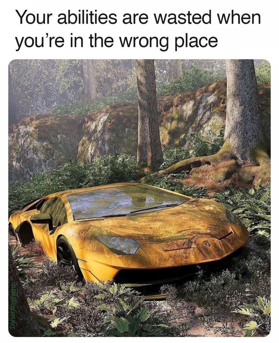 The Importance of Finding the Right Environment for Growth | by Raphy ...