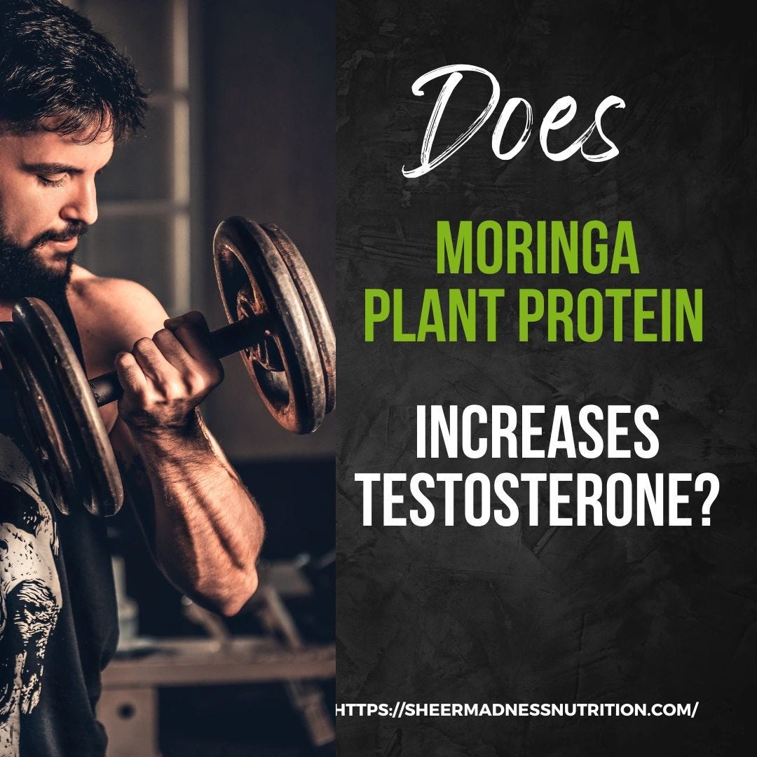 Does Moringa Plant Protein Increases Testosterone? | by SHEERMADNESS ...