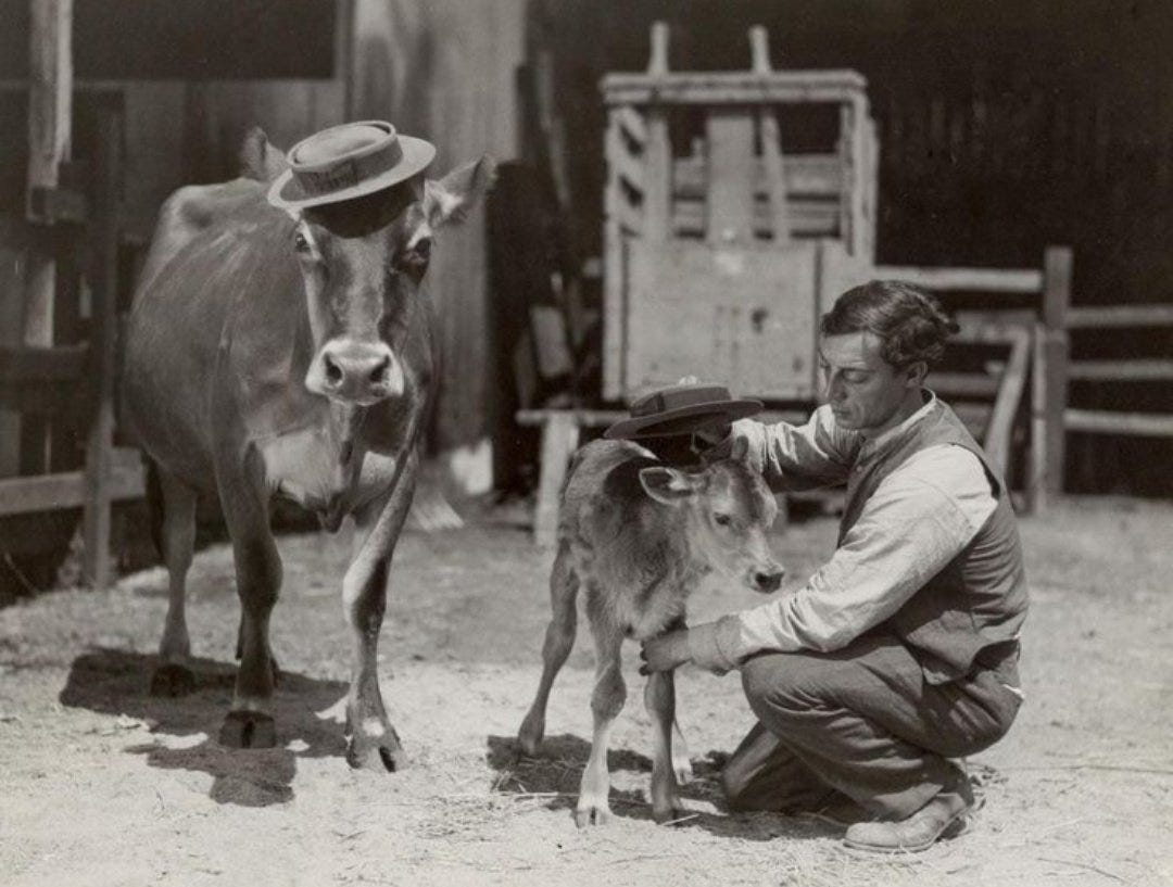 What’s a Cowboy Without a Cow? Loneliness and Masculinity in Go West ...
