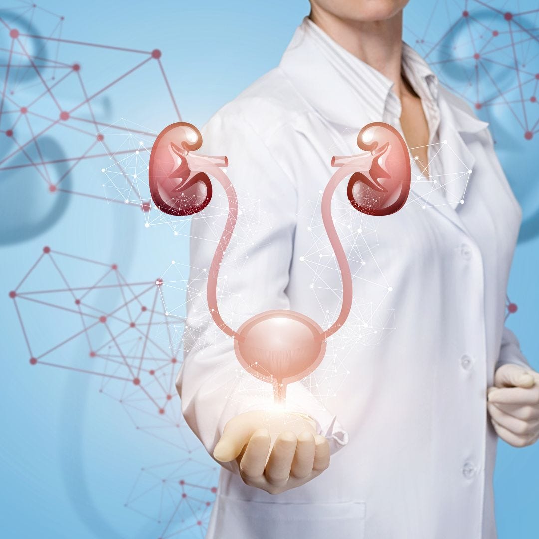 Understanding the Trigone: Anatomy, Function, and Clinical Significance ...