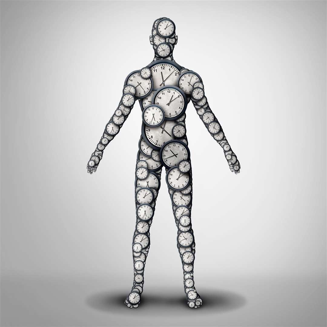 Body Clocks and Brain Power:. The Medical Science of Classroom Timing ...