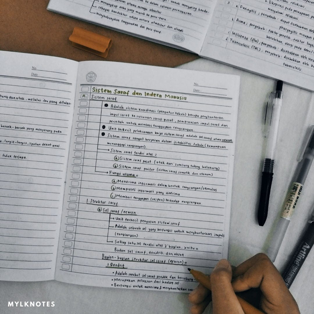 Neat Handwritten Notes