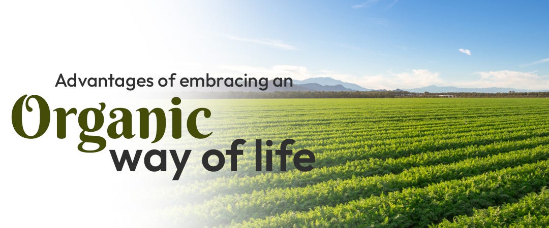 Advantages Of Embracing An Organic Way Of Life | Nimbark Foods ...