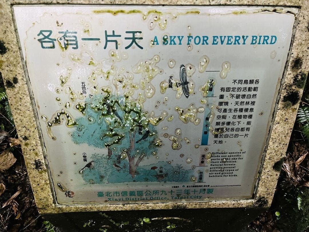 各有一片天 A Sky For Every Bird - Vincent Chen - Medium