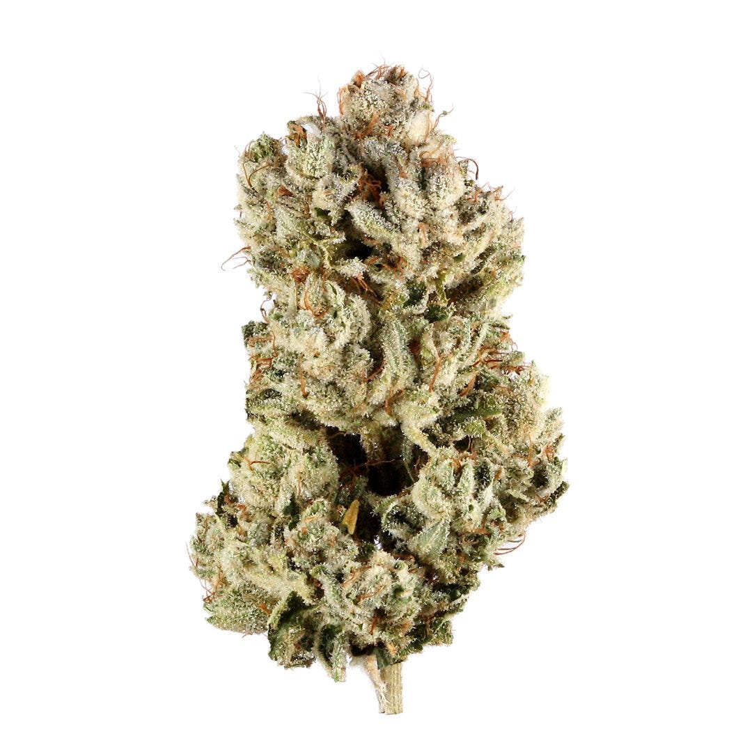 115 Best Weed Strains of All Time | by MIRankXpress | May, 2024 | Medium
