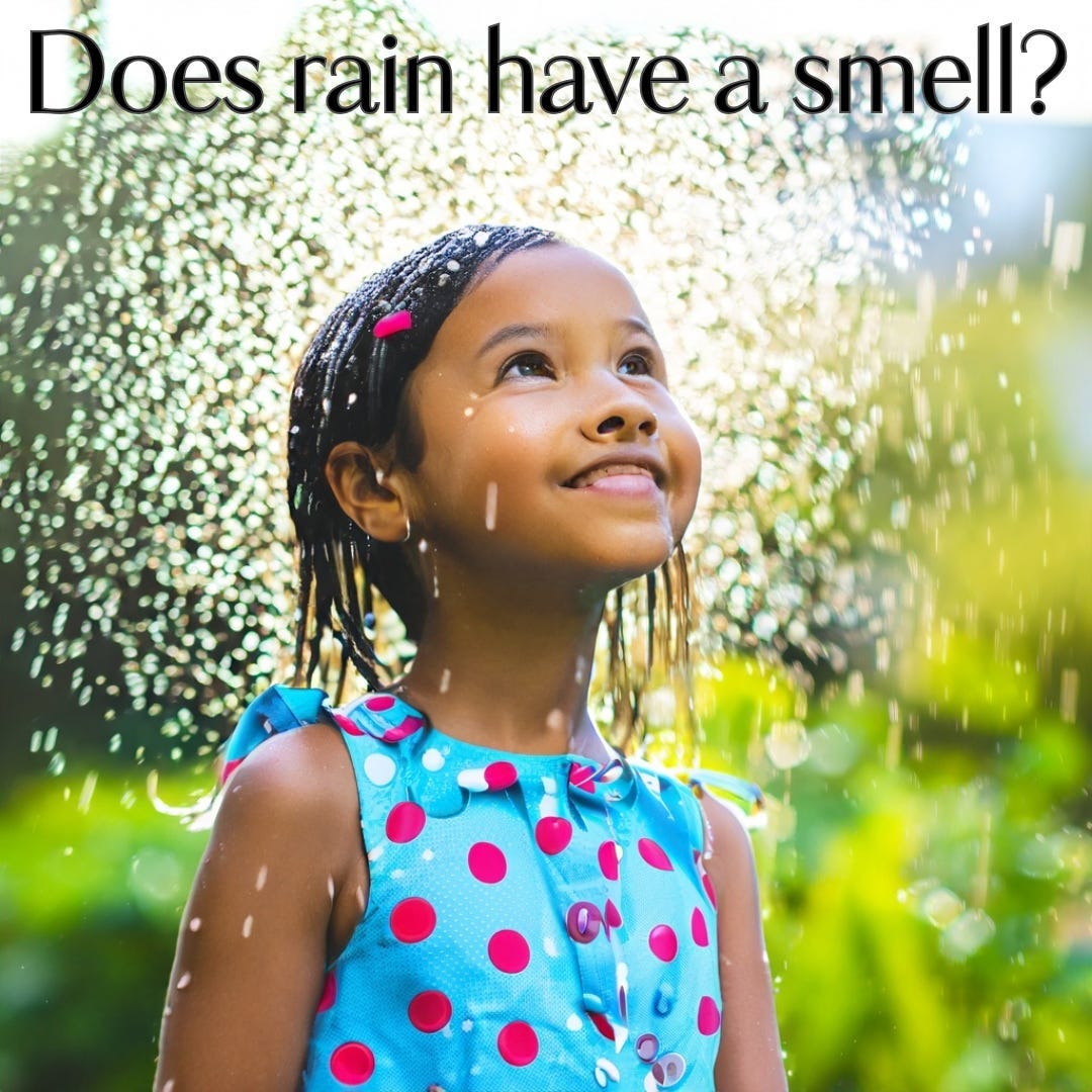 Petrichor: The Fresh Smell of Rain — Greek | Words of the World