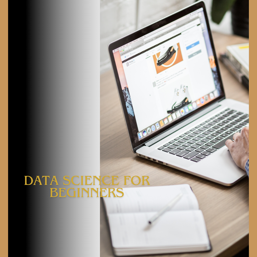 Data Science for Beginners: A Complete Roadmap | by Ruhiparveen | Dec, 2024 | Medium