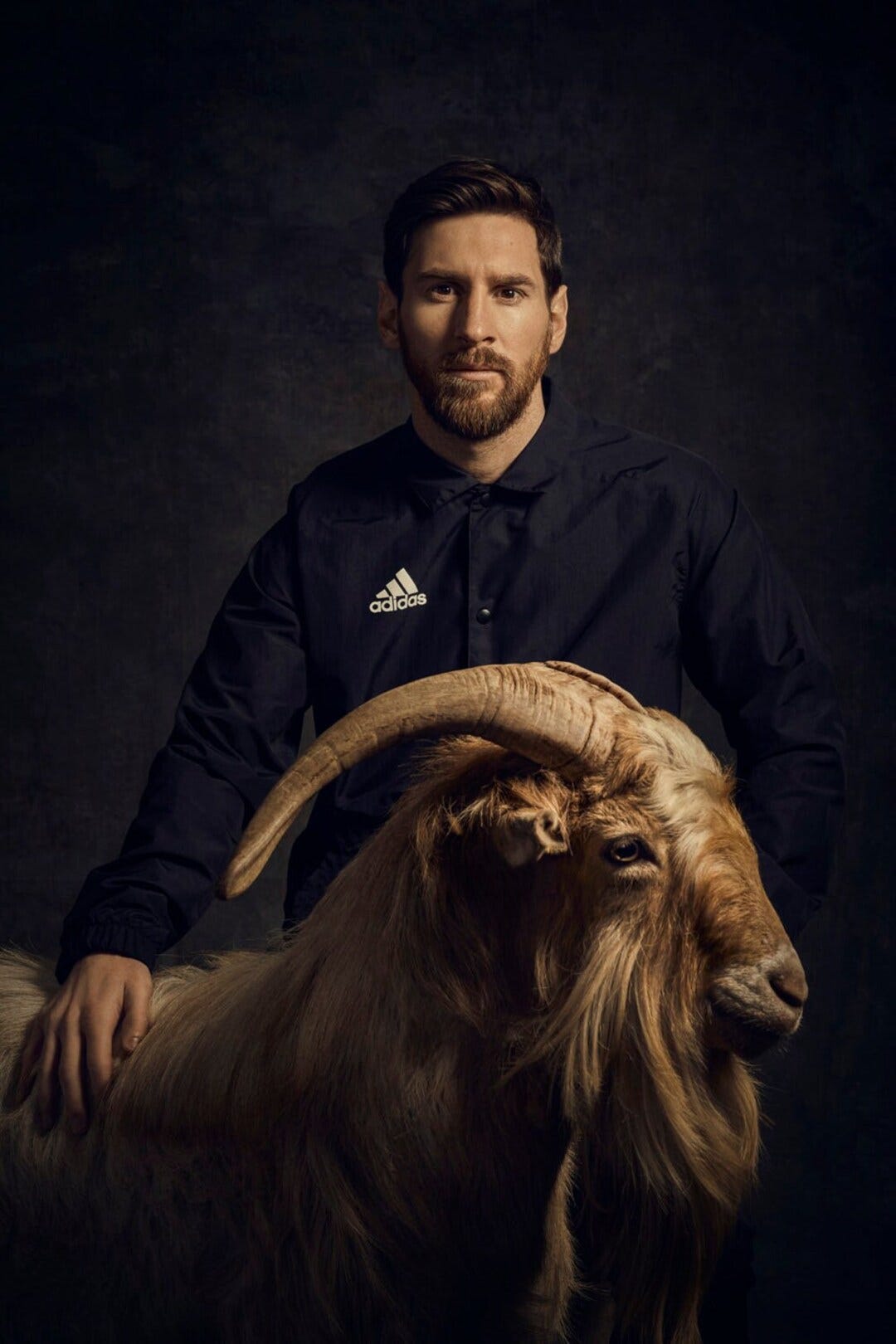 G.O.A.Tsssss. I wasn’t around goats that much as a… | by ariel | Medium